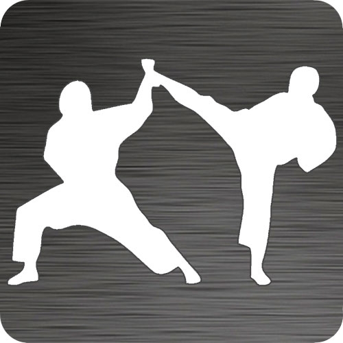 Kung Fu Vinyl Decal - Die-Cut Kung Fu Graphics - Custom Kung Fu Stickers