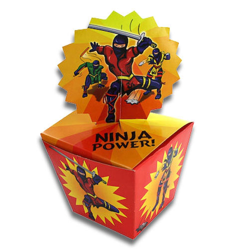Ninja Power Party Boxes - Birthday Party Grab Bags - Party Surprise Boxes