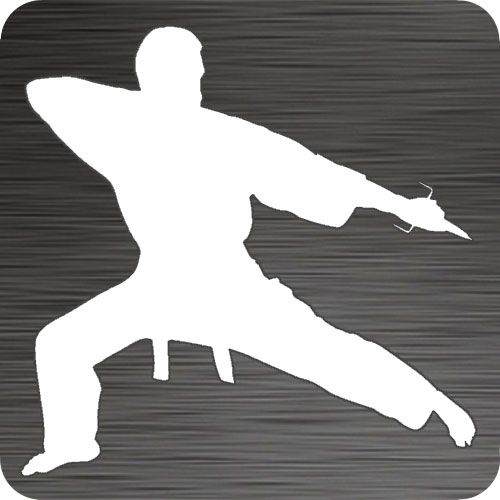 Sai Master Vinyl Decal - Die-Cut Vinyl Laptop Graphics - Custom Martial ...