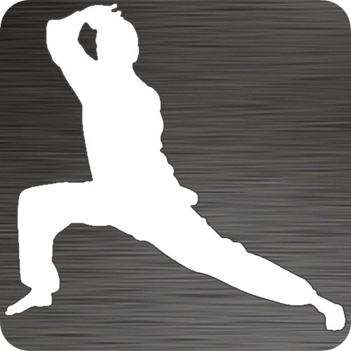 Wushu Warrior Car Decal - Wushu Bumper Sticker - Die-Cut Vinyl Wushu Decals