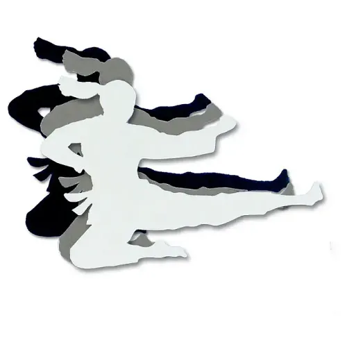 Flying Karate Girl Magnet - Jump Kick Car Magnet - Jump Kicking Wall Magnet