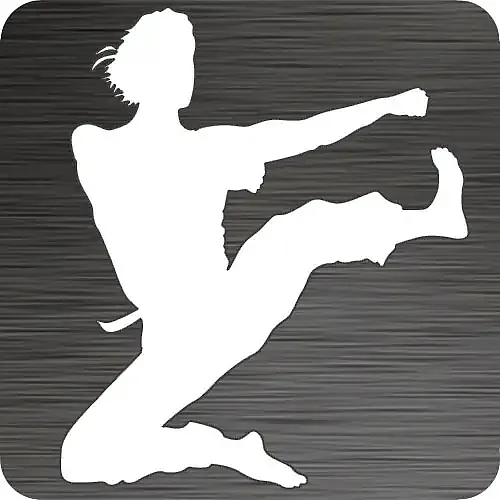 Flying Kick Car Decal, Karate Kick Automotive Decals, Die-Cut Karate ...