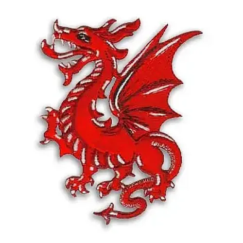 Imperial Red Dragon Patch - Coat of Arms Martial Arts Patches - Regal ...