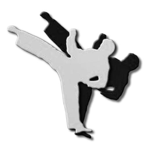 Male Taekwondo Sidekick Magnet - Tae Kwon Do Magnet - TKD Bumper Decal