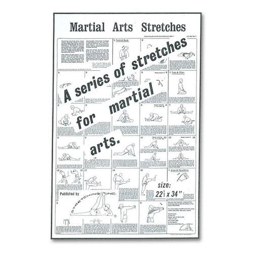 Martial Arts Stretches Poster - Stretching Positions Guide - Karate ...